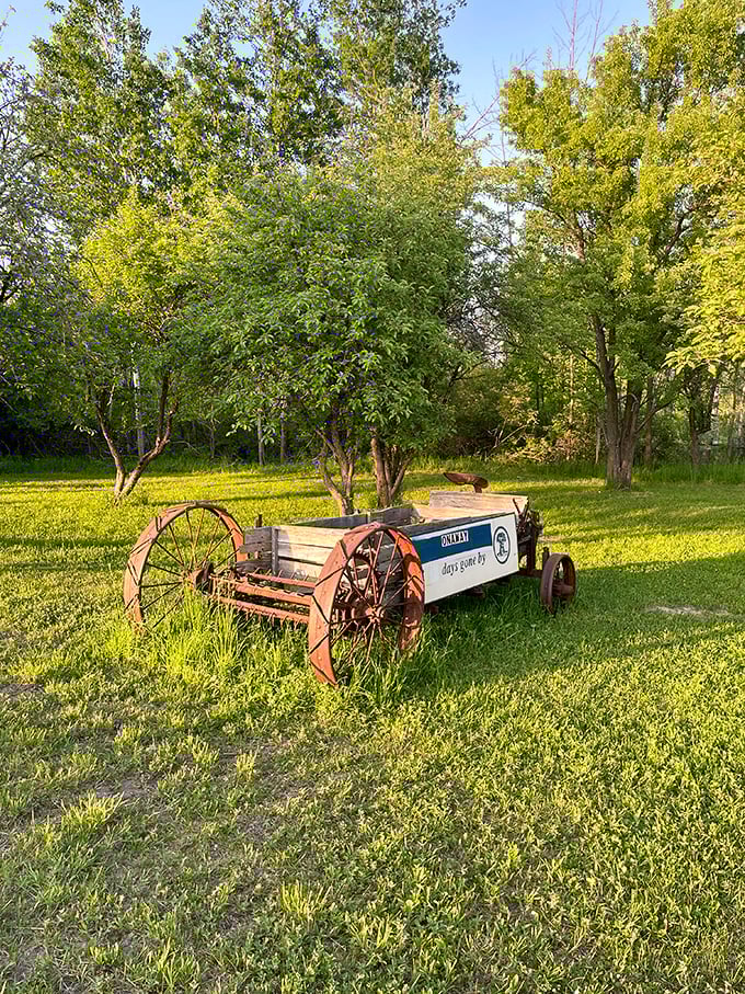 Wagon's ho! This rustic ride might not get you far, but it'll take you straight back to Onaway's pioneering past.