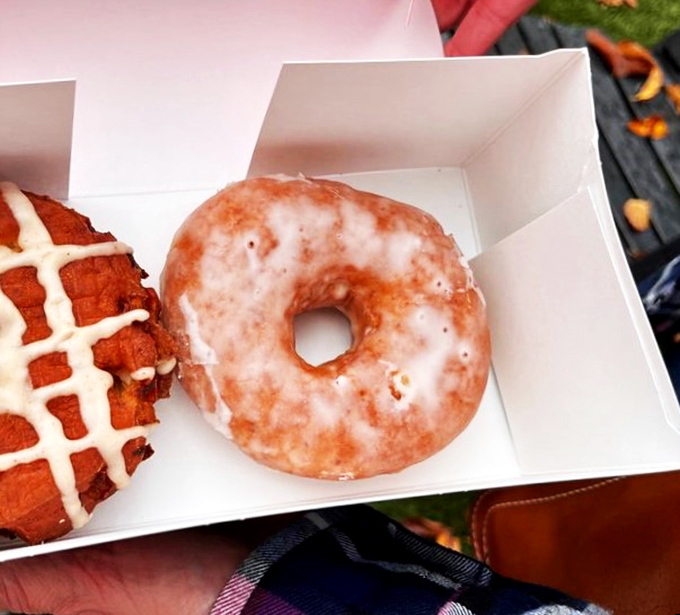 Donut nirvana achieved! This box of heavenly circles is like a Willy Wonka dream come true. From classic glazed to chocolate-drizzled masterpieces, it's a sugar rush waiting to happen.