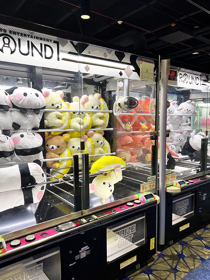 "The claw chooses who will stay and who will go. These machines are filled with plush treasures waiting to be won."