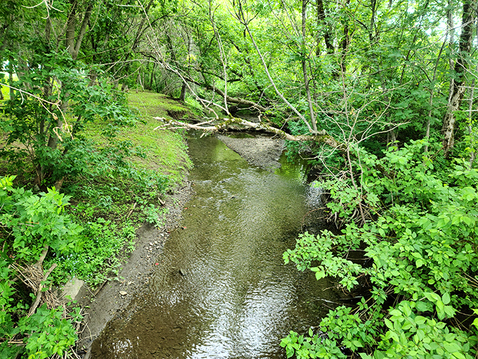 Babbling brooks and whispering willows: Nature's own podcast, no subscription required.