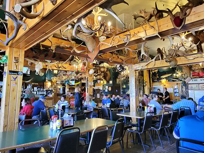 Diners, drive-ins, and dives? More like diners, antlers, and good vibes! This lively scene proves taxidermy and taste buds can coexist.