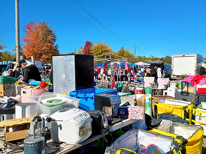 Autumn bargain bonanza! This outdoor display is a kaleidoscope of colorful finds, from kitchen appliances to kids' toys. It's like your attic decided to have a party.