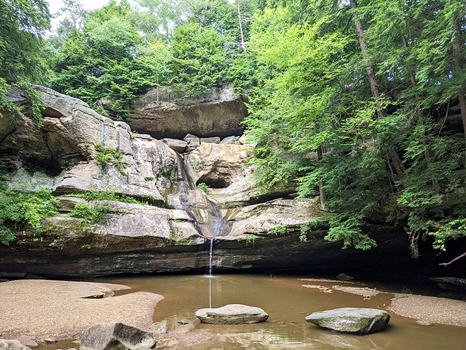 Water you waiting for? This serene scene at Cedar Falls is like a Bob Ross painting come to life &ndash; happy little trees included!