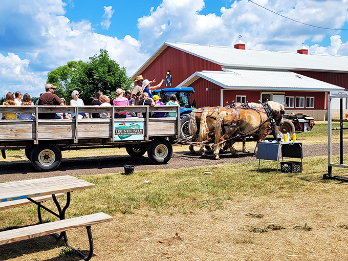 All aboard the hayride express! It's like a Midwestern magic carpet ride, minus the magic, plus a whole lot of charm.