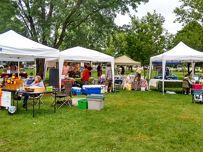 Ely's Farmers Market: Where "farm-to-table" is more than just a trendy phrase. It's a cornucopia of colors, flavors, and friendly faces that would make even a city slicker consider going country.