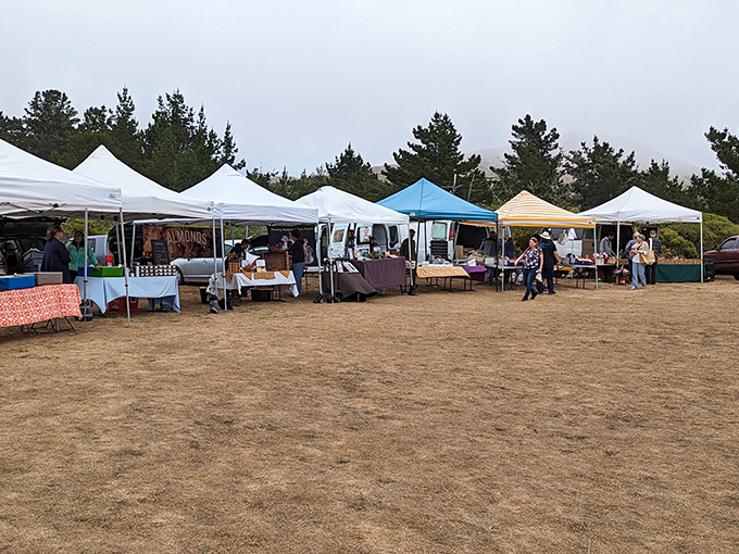 Farmers market or food festival? In Bodega, it's hard to tell the difference. Prepare for a flavor explosion!