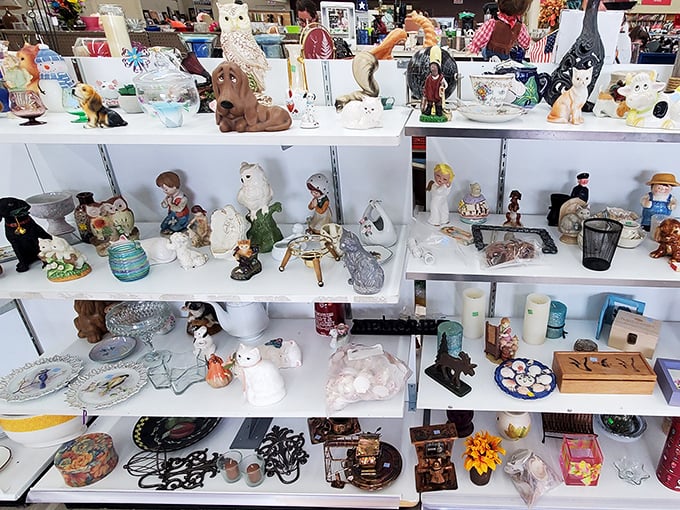 It's a miniature menagerie of memories! This figurine collection is like a 3D scrapbook of grandma's living room, with a dash of yard sale chic.