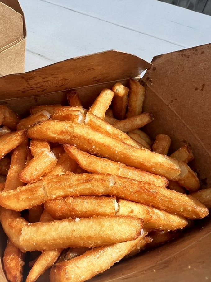 Fry, oh my! These golden beauties are the supporting actors in your burger blockbuster. And trust me, they deserve an Oscar.