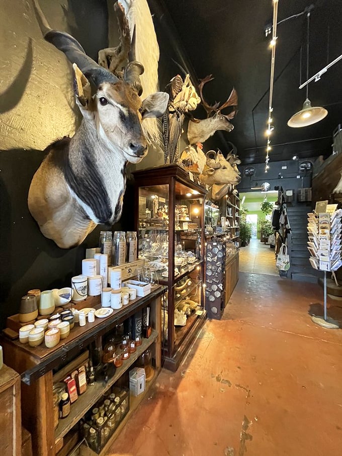Where the wild things are... and then some! This aisle of curiosities is like a real-life "Night at the Museum" waiting to happen.