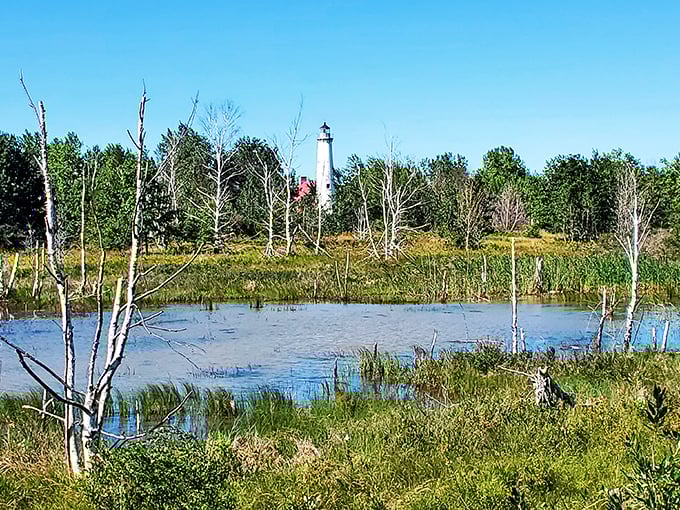 Lighthouse in the mist! This scene is so picturesque, it could be a book cover. "The Mystery of Tawas Point" &ndash; coming soon to a bookshelf near you!