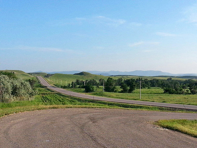 The road less traveled? Maybe, but it's definitely the most scenic. Buckle up for a drive that'll have you pulling over for photos every mile.
