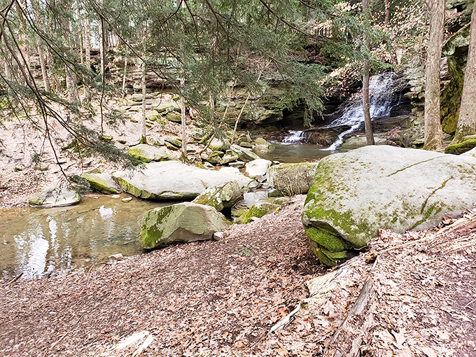 Nature's own rock concert, featuring smooth stones and rushing water. No tickets required, just bring your sense of wonder.