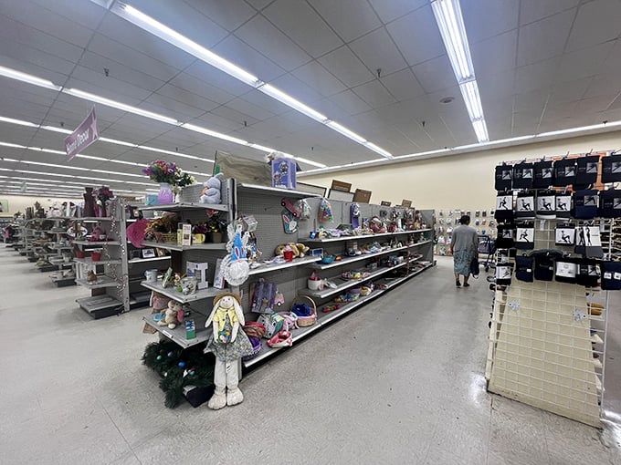 From knick-knacks to paddy-whacks, these shelves are a treasure trove of trinkets waiting to find their forever homes.