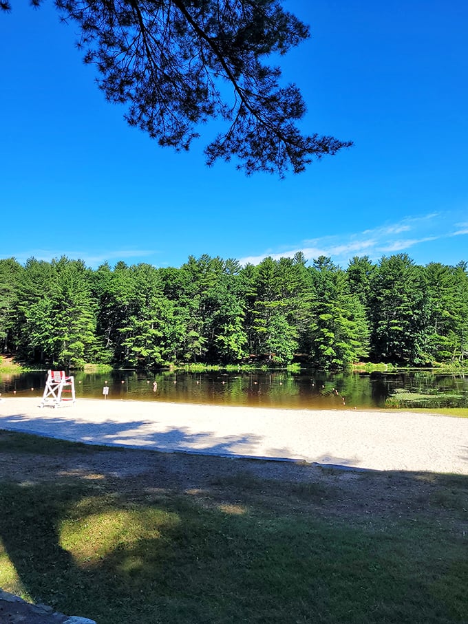 Beach day, Pulaski style! No crowds, no overpriced ice cream trucks, just pure, unadulterated shoreline bliss.