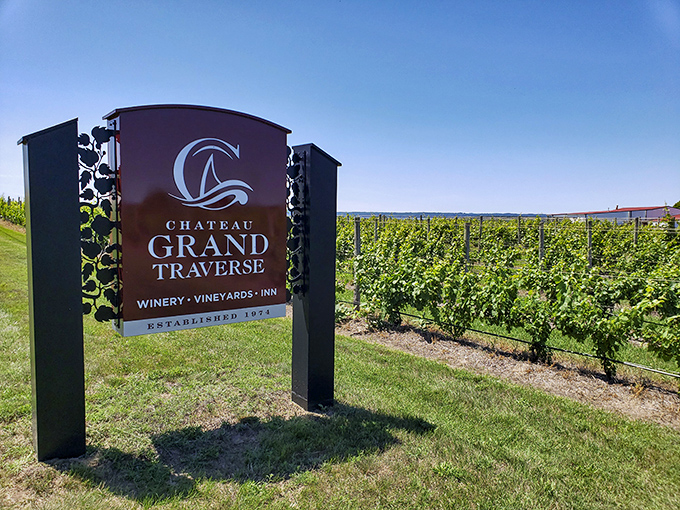 Your GPS to grape nirvana: This sign marks the spot where wine dreams come true. X marks the spot!