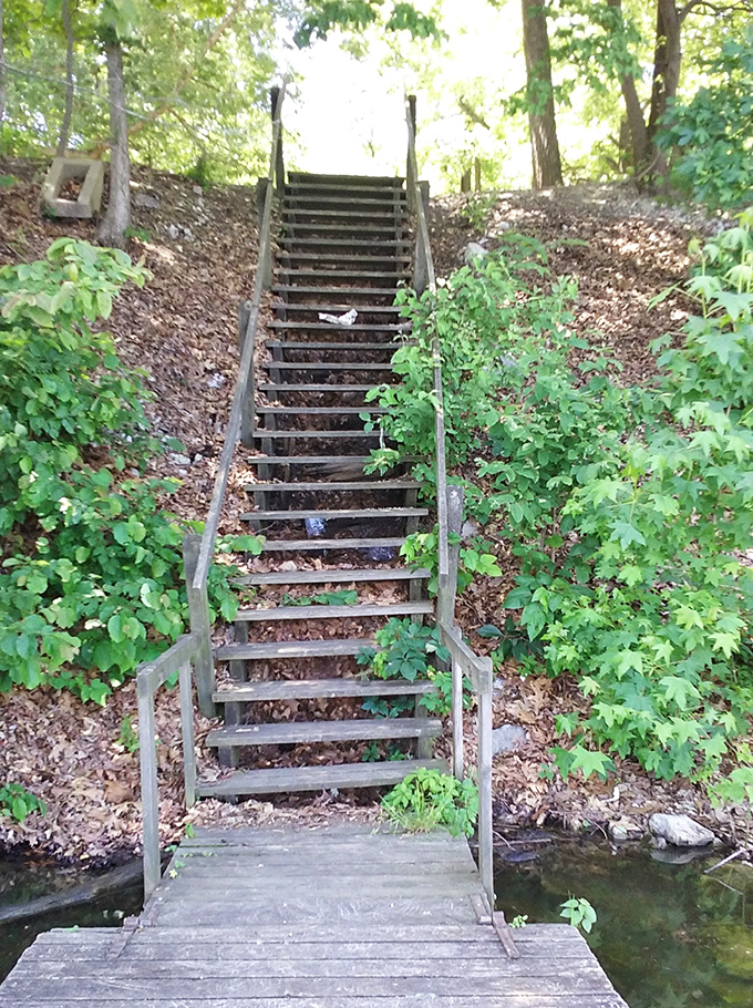 Stairway to heaven? Nope, just the trail to more breathtaking views. Each step is like climbing the ladder of natural beauty.
