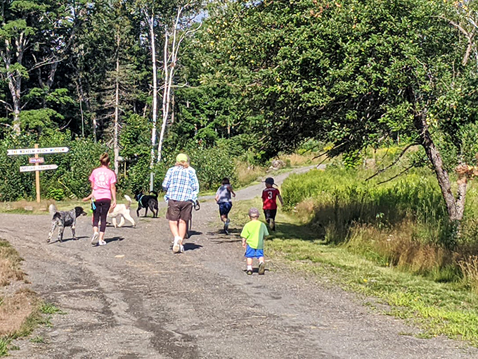 Take a walk on the wild side! These trails might lead you to scientific enlightenment... or at least a really good spot for a picnic.