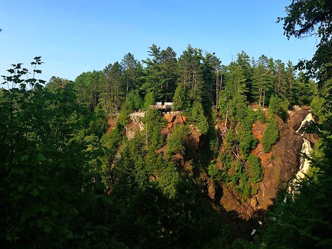 Pattison's natural skyscrapers reach for the clouds. Who needs New York when you've got this view?