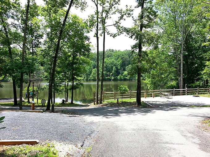 Welcome to the green room! Nature's version of a spa day, minus the cucumber water.