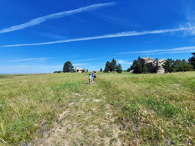 Fields of dreams, dotted with nature's skyscrapers. It's like Manhattan, but with better air quality.
