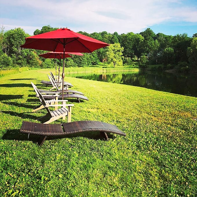 Lounge lizards, rejoice! These lakeside chairs are calling your name. Just add a good book and a cool drink for instant nirvana.