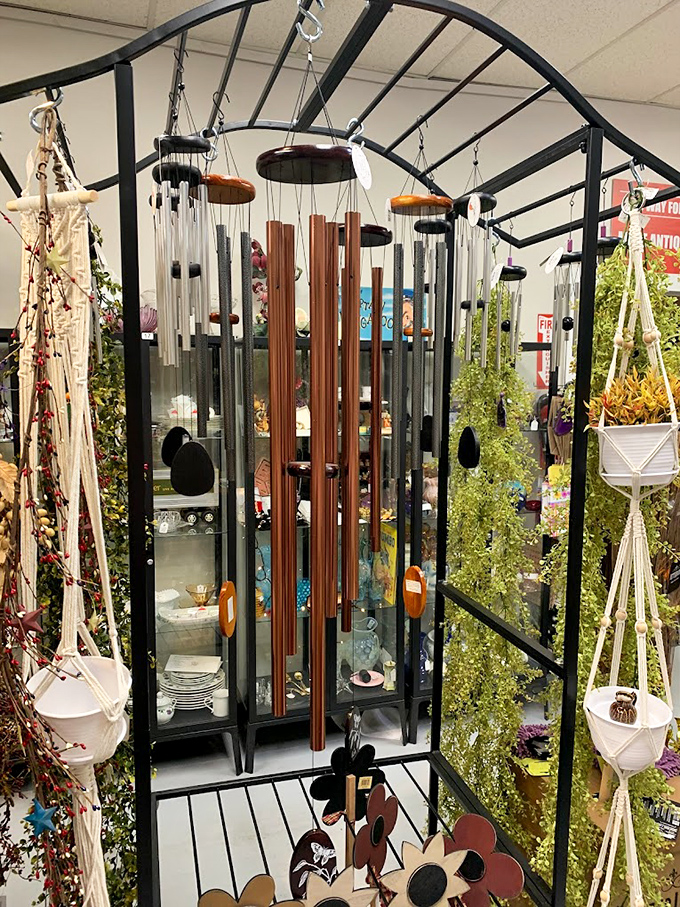 Chime time! This melodic menagerie is a feast for the ears and eyes, perfect for zen gardens or whimsical porches alike.