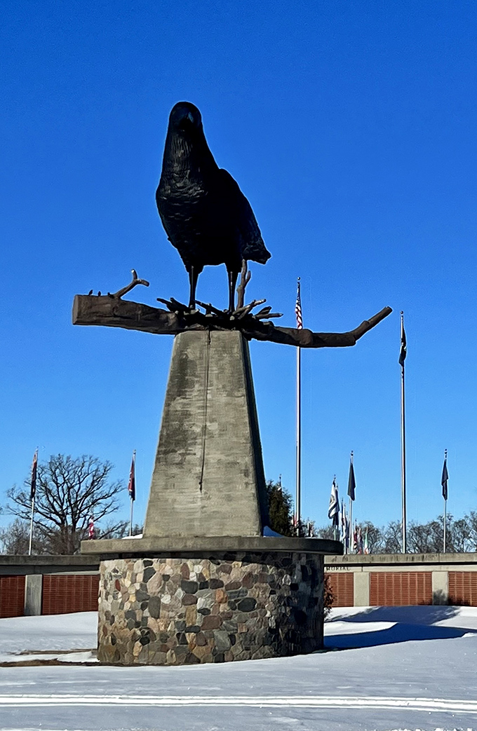 Winter wonderland meets bird of wonder. Snow White's got nothing on this majestic ebony beauty.