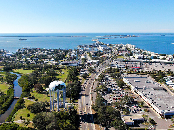 Dunedin: Where the land meets the sea in perfect harmony. Dunedin's coastline is a masterpiece of natural beauty.