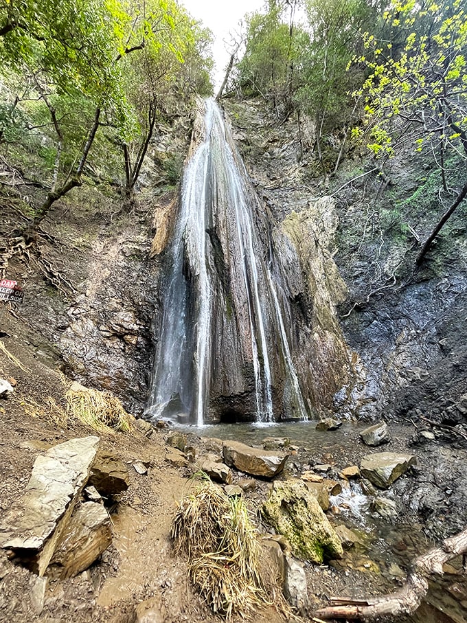 Nojoqui Falls: Santa Barbara's hidden oasis. It's like finding a tropical getaway in your own backyard.