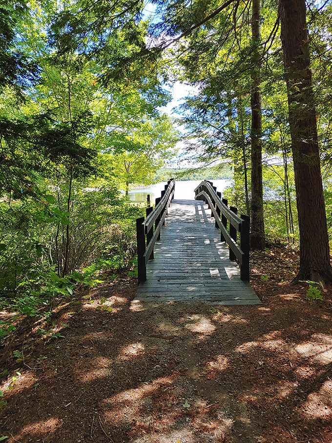 Swan Lake's wooden bridge: your gateway to tranquility, where worries dissolve faster than ice cream on a hot day.