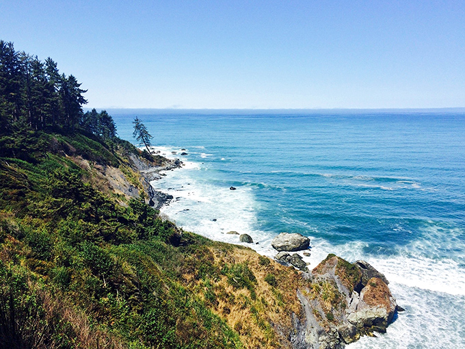 Look out over the stunning Pacific Ocean, where the forest meets the dramatic cliffs and turquoise water.