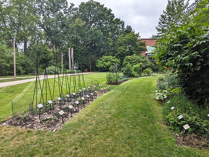 Nature's filing system! Each plant is meticulously labeled, making even Marie Kondo green with organizational envy.