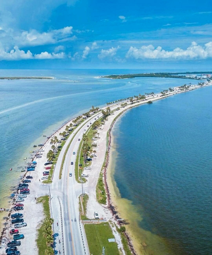 Dunedin: Small town charm with big city views. Dunedin's picturesque downtown is framed by stunning water vistas.