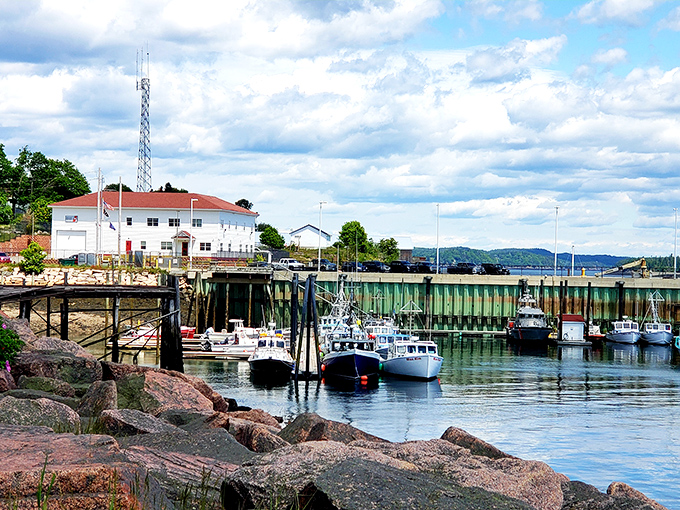 Fishing boats bobbing gently&mdash;Eastport captures the rhythm of the sea and the soul of a community.