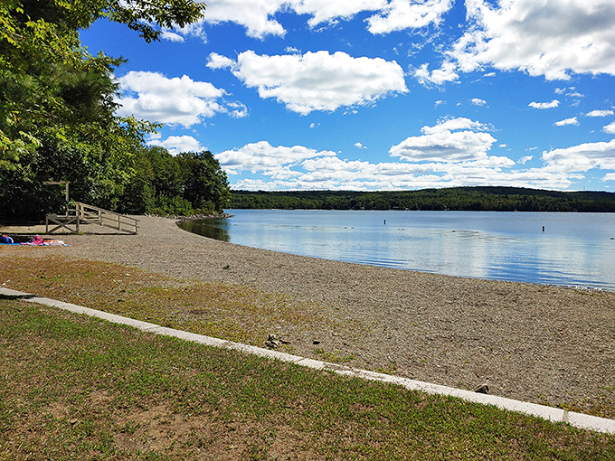 Sunlight sparkles on Swan Lake's surface, nature's own disco ball spinning tales of summer days.