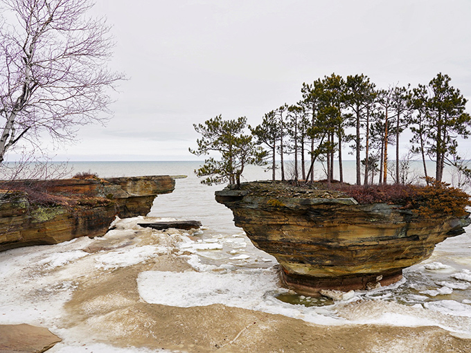 Part island, part vegetable lookalike, all Michigan wonder. Accessible only by water, worth every paddle stroke!