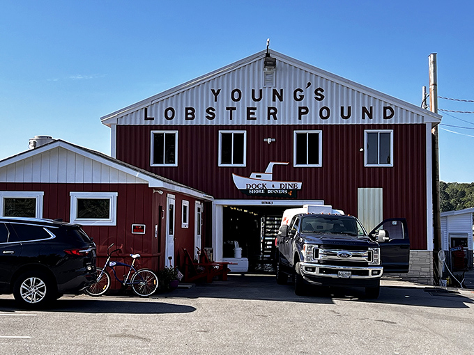 Part seafood market, part restaurant, all delicious. Young's is the choose-your-own-adventure book of lobster joints.