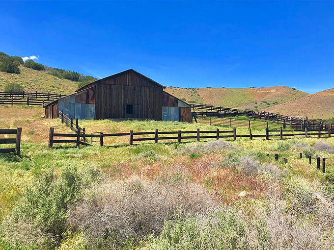 Barn to be wild! This old-timer's seen more California history than a Hollywood studio backlot.