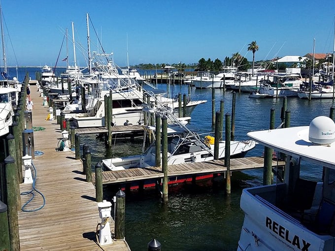 Marina life: Where boats gather to gossip about which one's getting the most expensive wax job. It's like a parking lot, but with better views and saltier air.