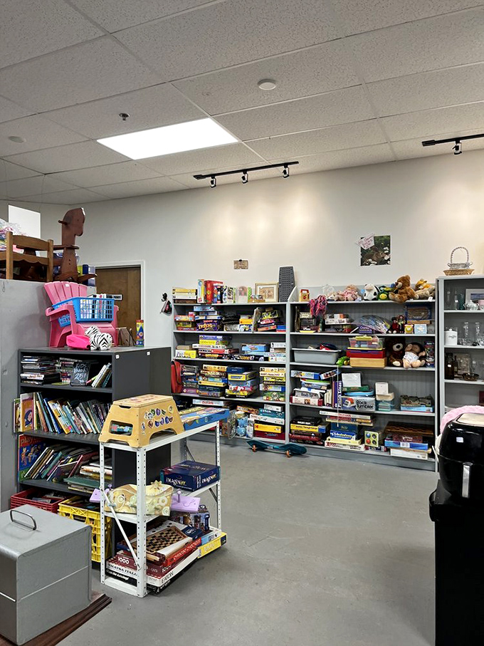 Books, books, and more books! Enough literary treasures to make your local librarian swoon with envy.
