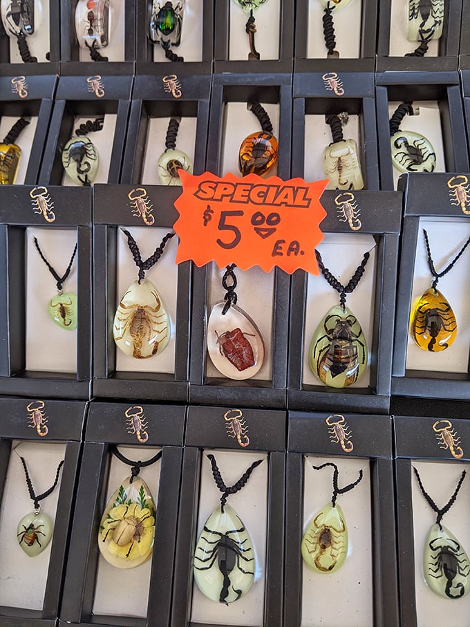 Bugging out in style! These creepy-crawly pendants are the perfect accessory for your next entomologist cocktail party.