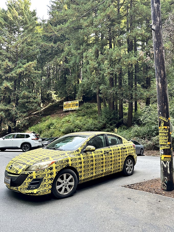 Talk about commitment to the bit! This car's decor screams "Mystery Spot" louder than a carnival barker on espresso.