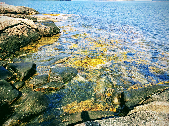 Crystal-clear waters or nature's own aquarium? These pristine shallows are begging for a toe-dip. Just watch out for ticklish fish!