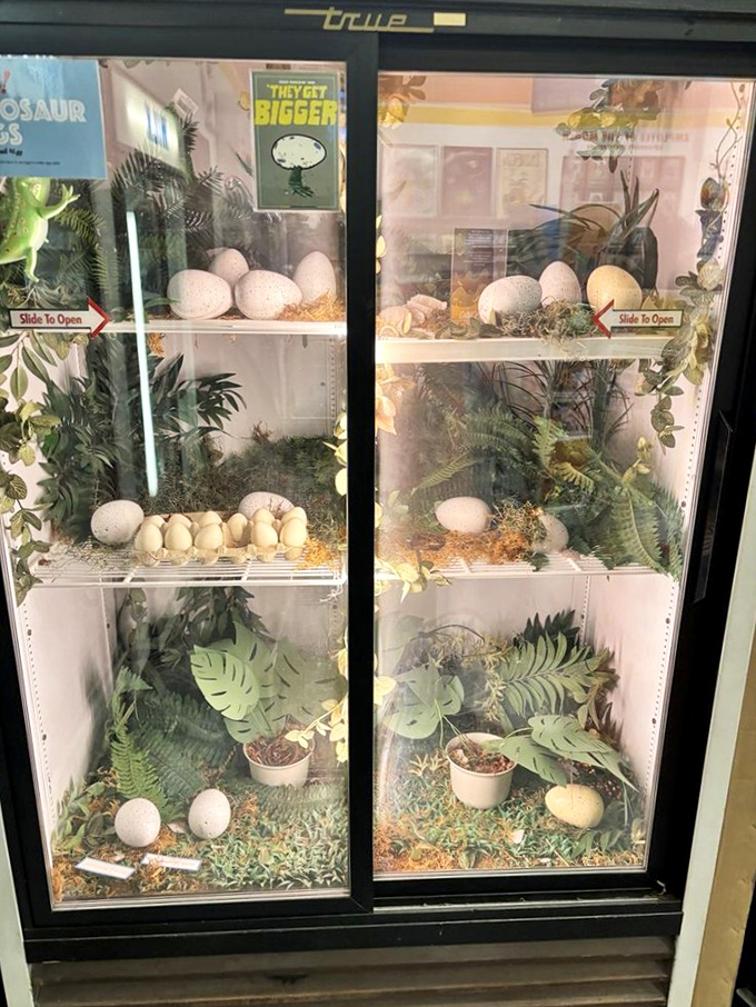 Jurassic Park meets your grocer's dairy aisle. These eggs might hatch a pet dino or tomorrow's omelet - buyer beware!