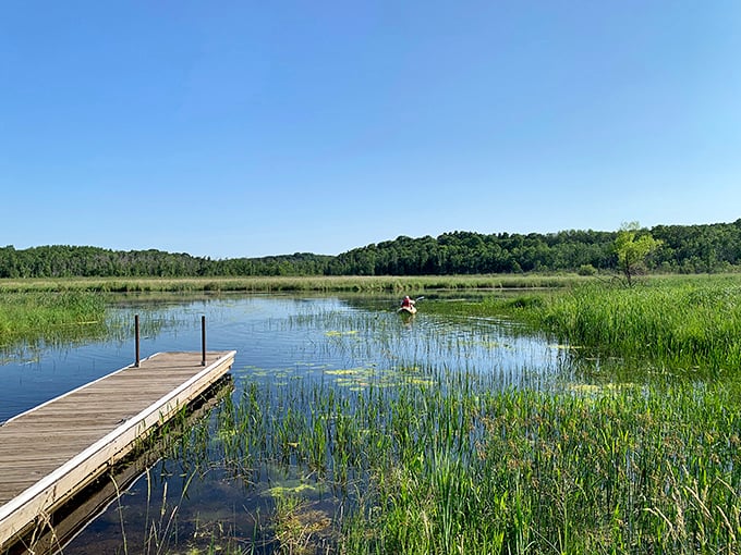 Paddle your way to serenity: Where the only traffic jam is a family of ducks crossing your path. Rush hour has never looked so good.