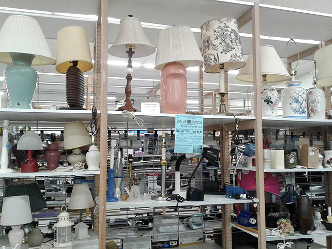 Illuminating finds! This lamp section is where style meets function, and your next great reading light awaits.