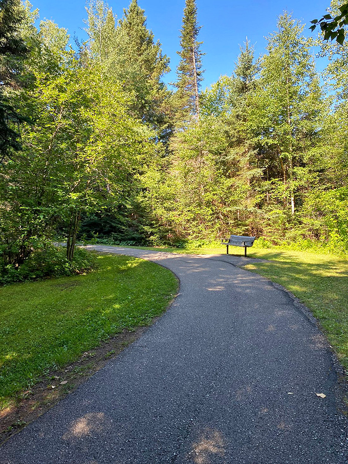 Nature's living room: Pull up a bench and stay awhile. The view here is better than any HDTV money can buy.