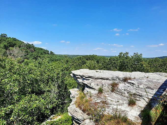 Perched on nature's balcony, drinking in views that no fancy rooftop bar could ever match.