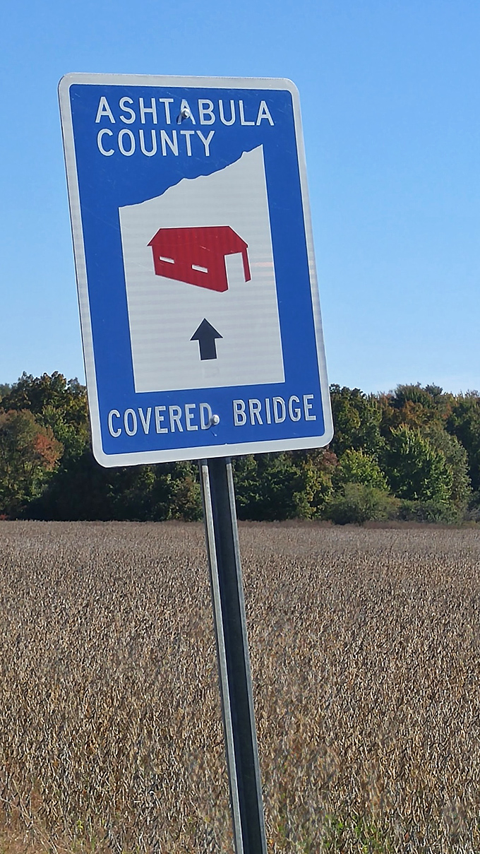 "Sign of the times... and directions." In a world of GPS, this charming signpost is a refreshing reminder that sometimes, getting lost is half the fun.