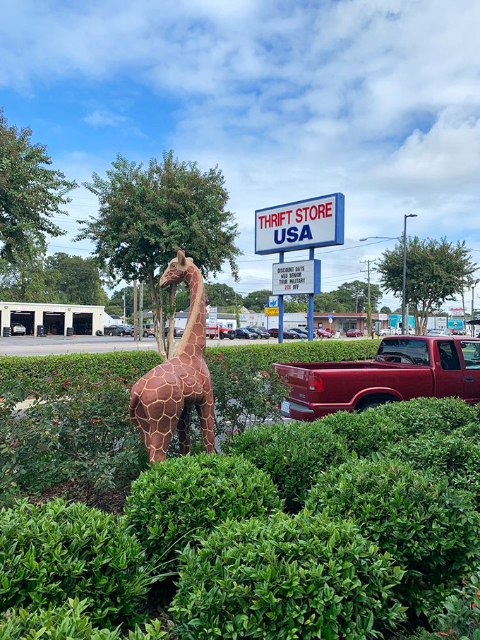 Shhh... bargain hunters at work! Enter the "Quiet Sleep Zone" for dreamy deals on cozy comforts.